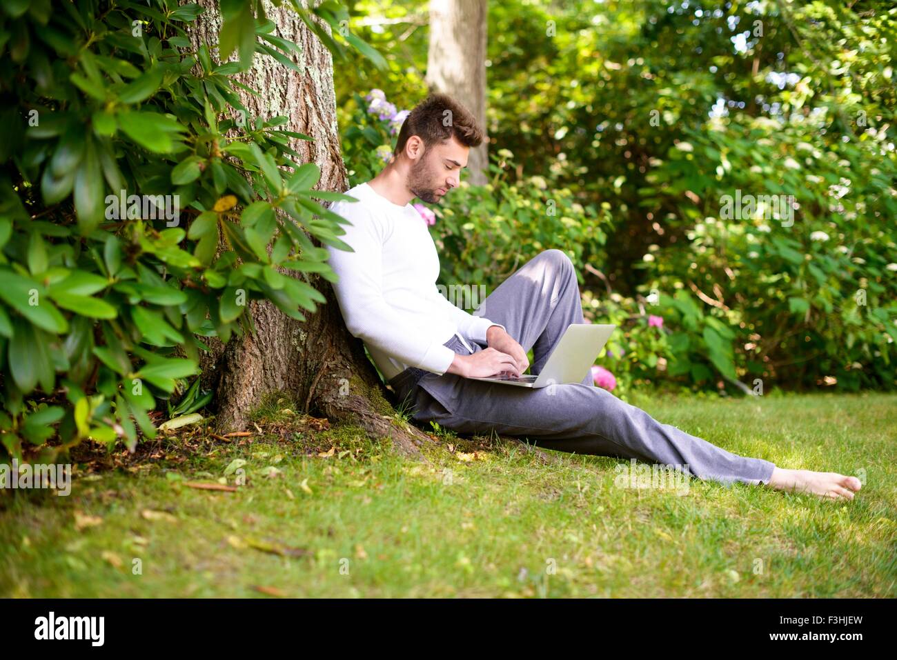 Young man sitting against tree, using laptop Stock Photo - Alamy