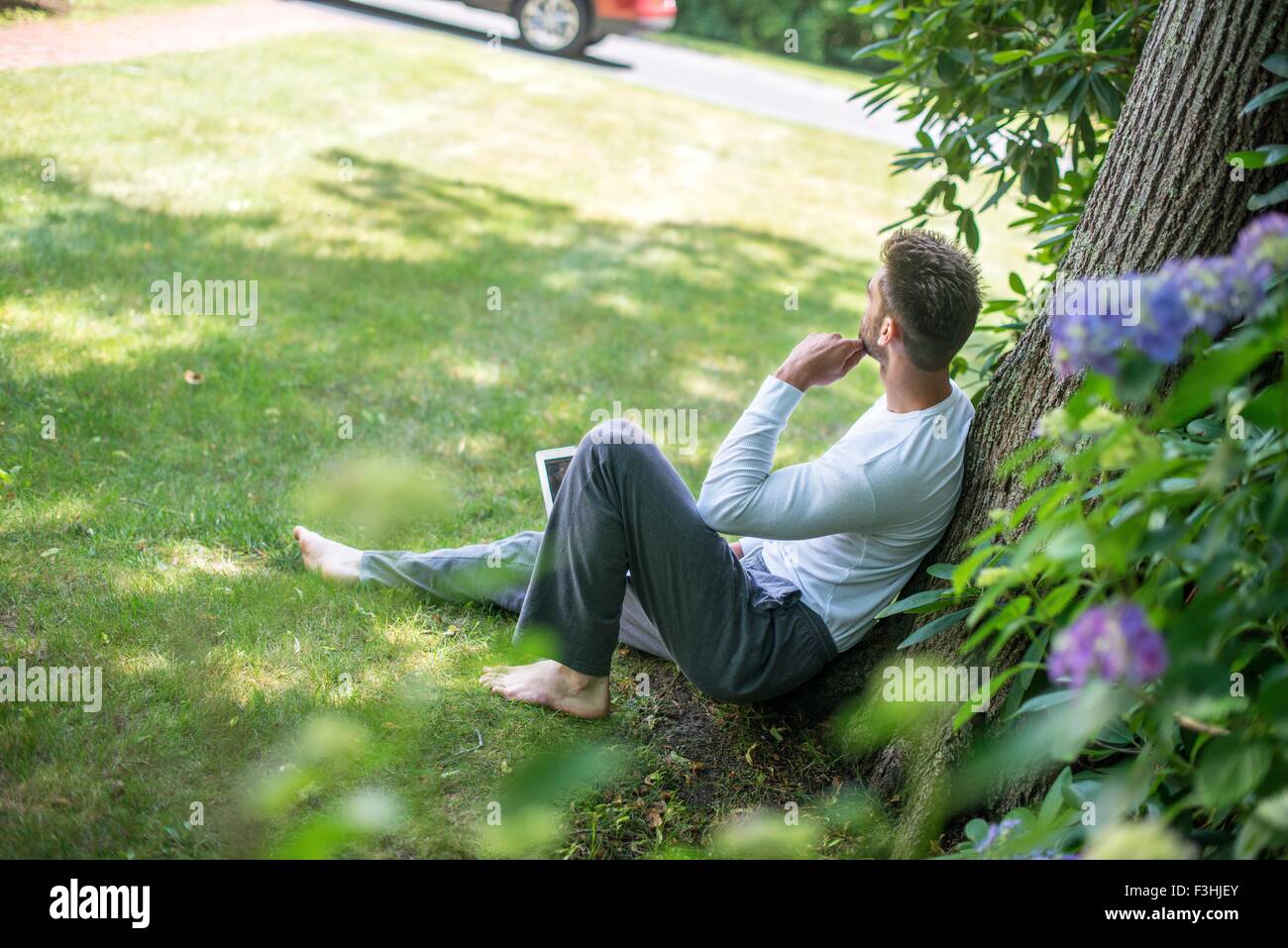 Young man sitting against tree, using laptop Stock Photo - Alamy