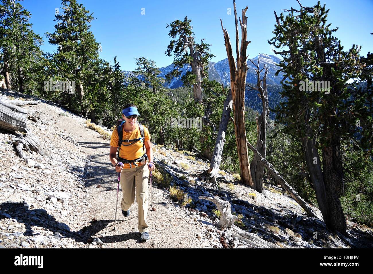 Mount charleston hi-res stock photography and images - Alamy