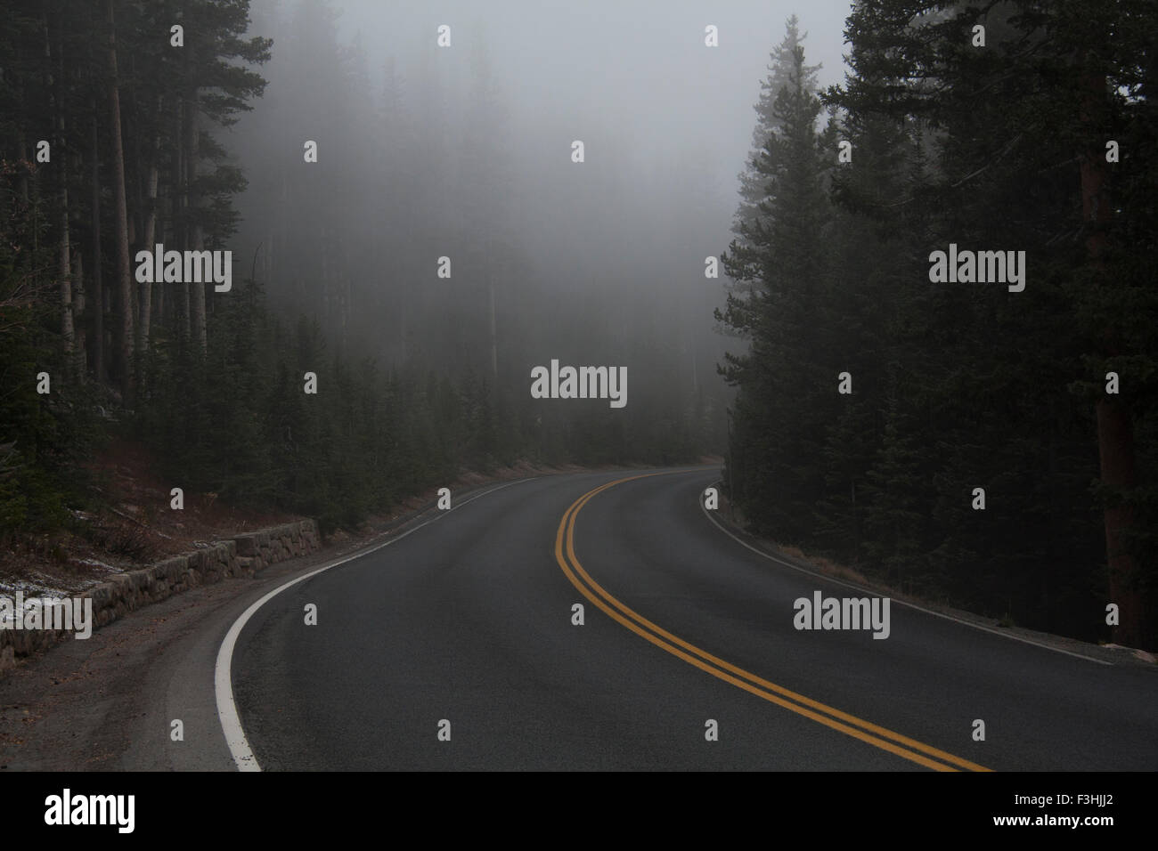 Foggy Forest Road Stock Photo - Alamy