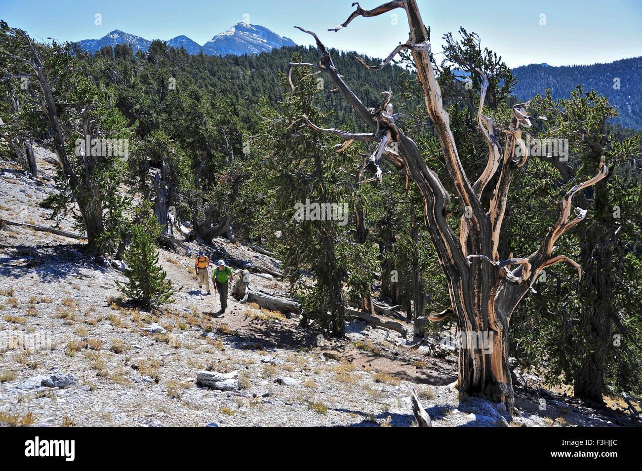 Go into the wilderness hi-res stock photography and images - Alamy
