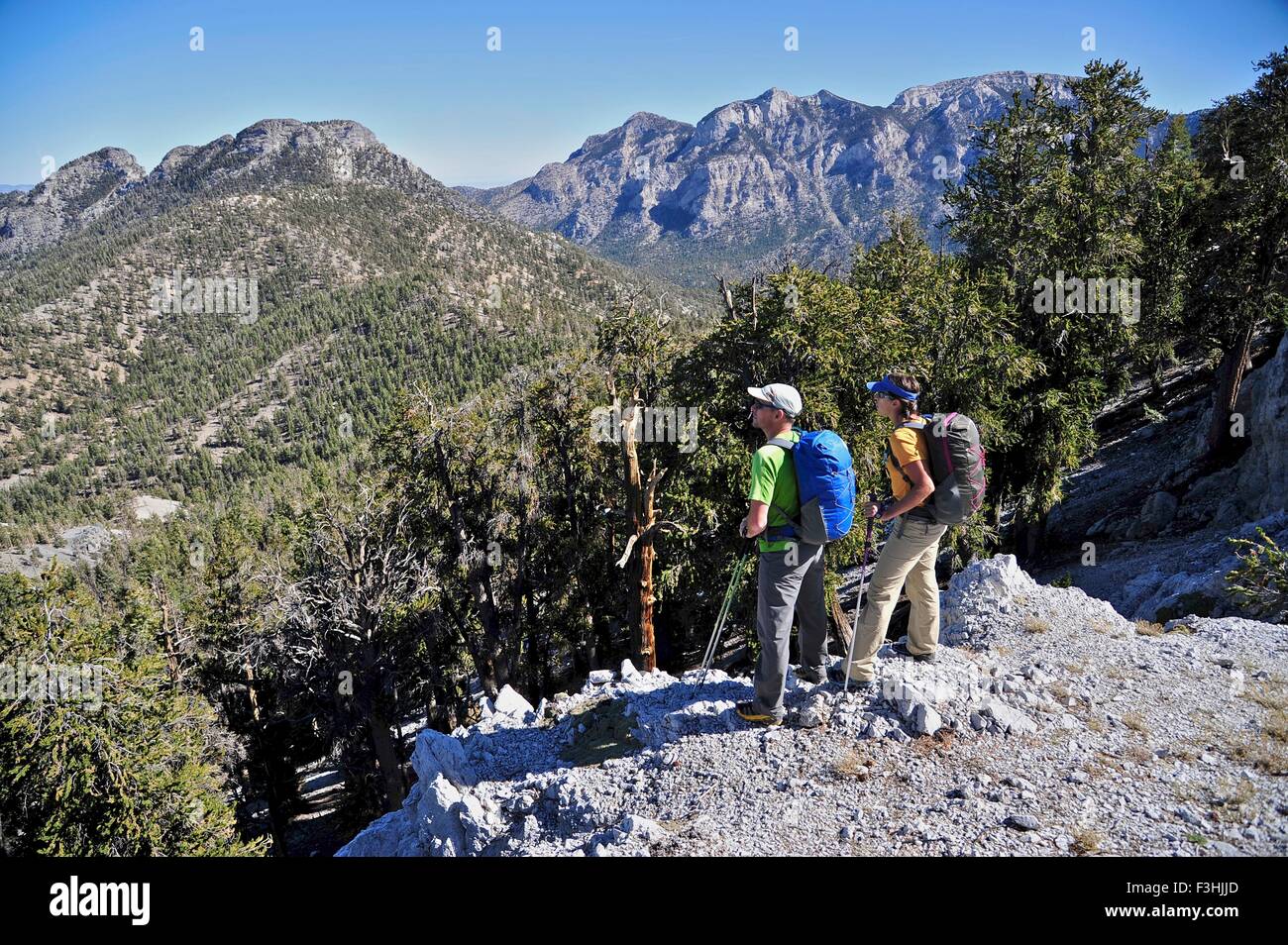 Couple hiking, Mount Charleston Wilderness trail, Nevada, USA Stock ...