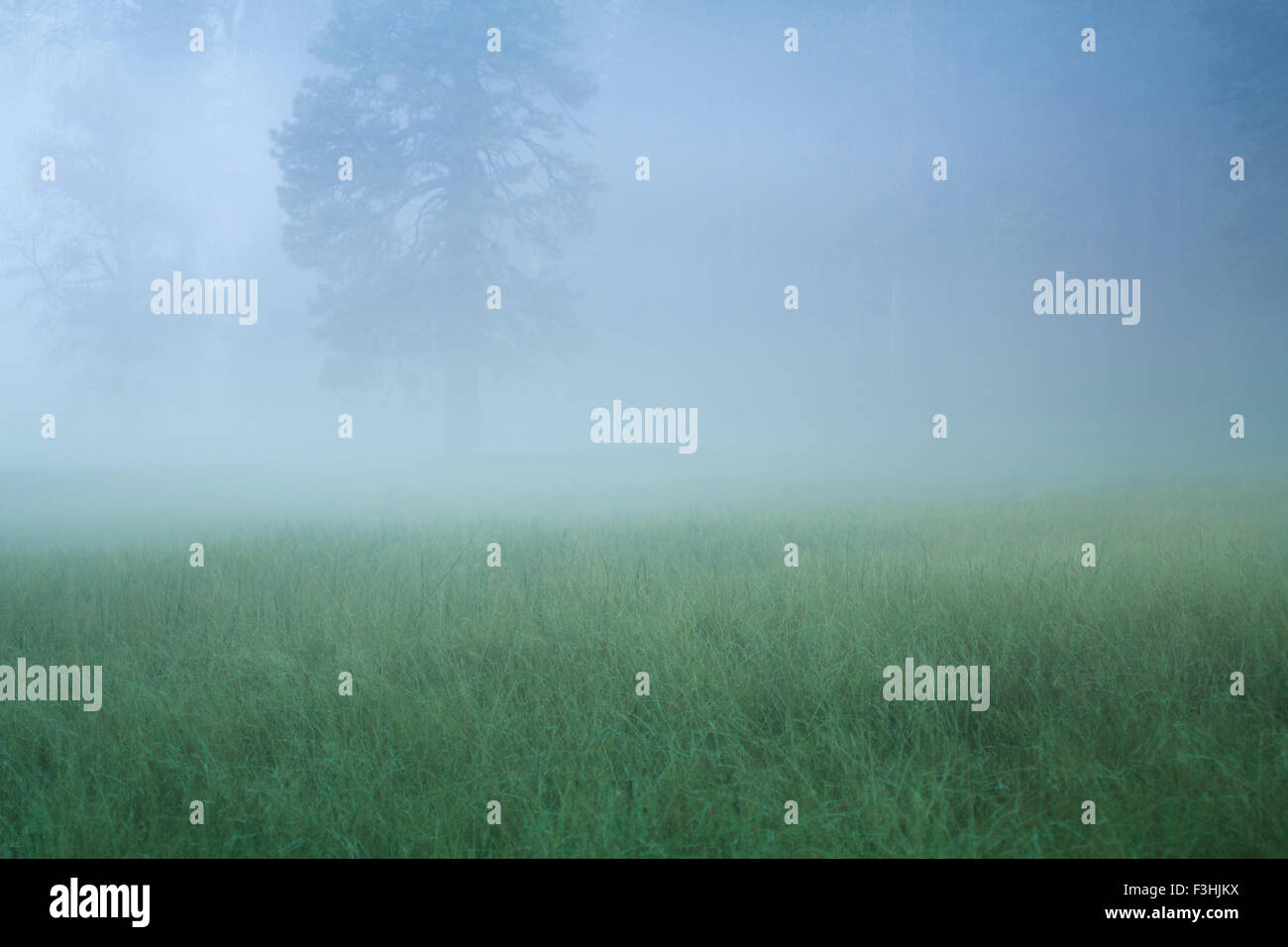 Denver fog hi-res stock photography and images - Alamy