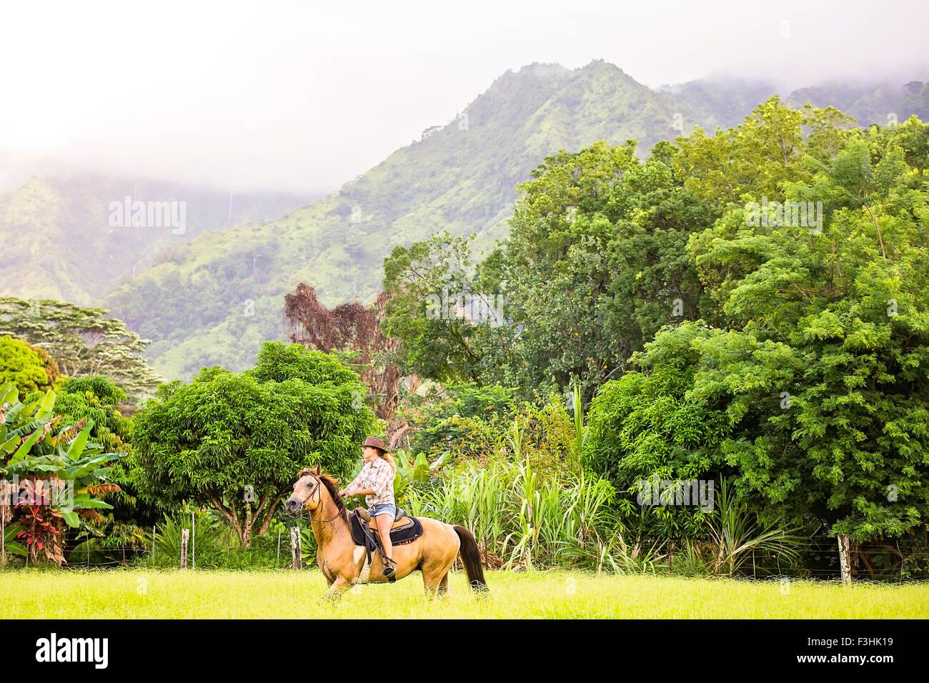 Woman ride on horseback in hi-res stock photography and images - Alamy