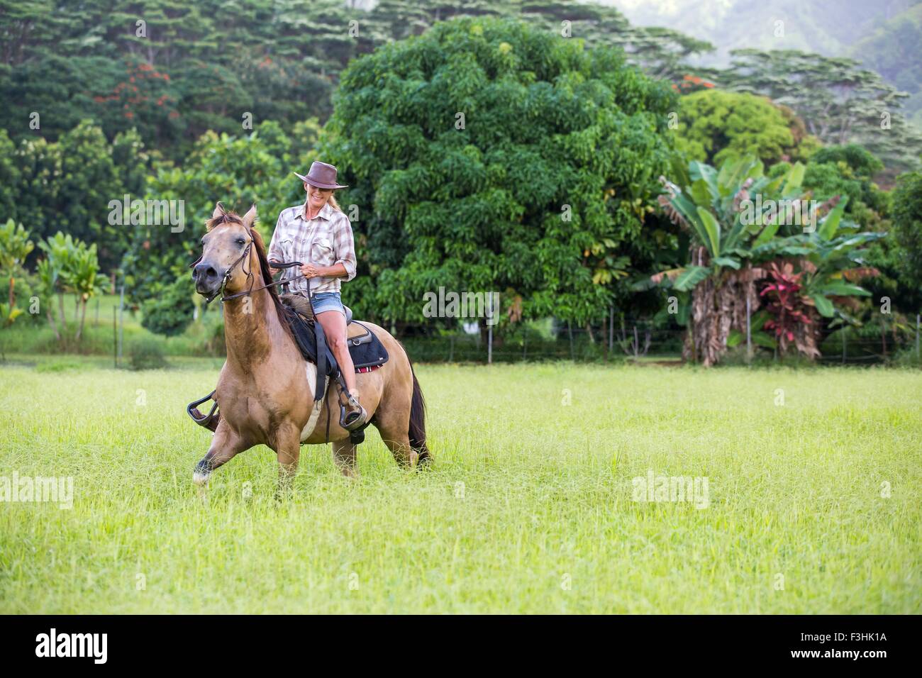 Mature woman riding horse hi-res stock photography and images - Alamy
