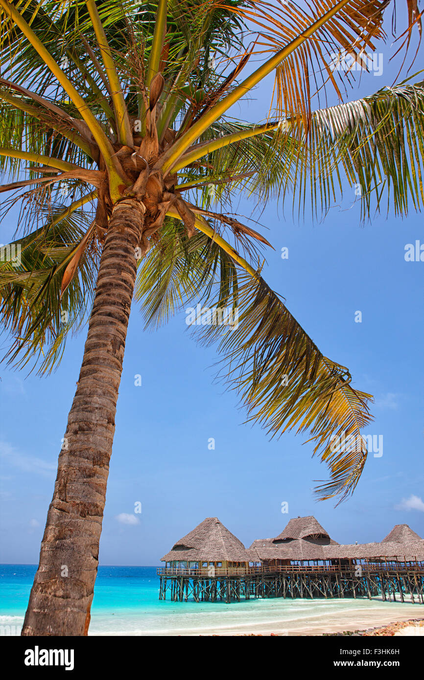 Tanzania, Zanzibar Archipelago, Unguja island (Zanzibar), Nungwi Stock ...