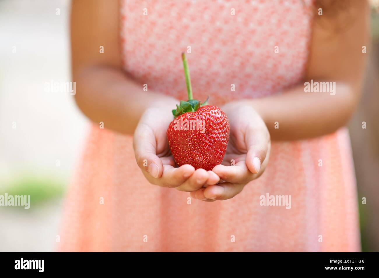Cropped shot of girl holding a fresh strawberry in garden Stock Photo ...
