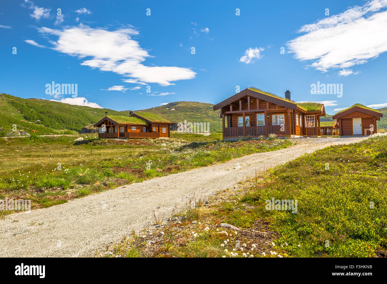Ecological environment hi-res stock photography and images - Alamy