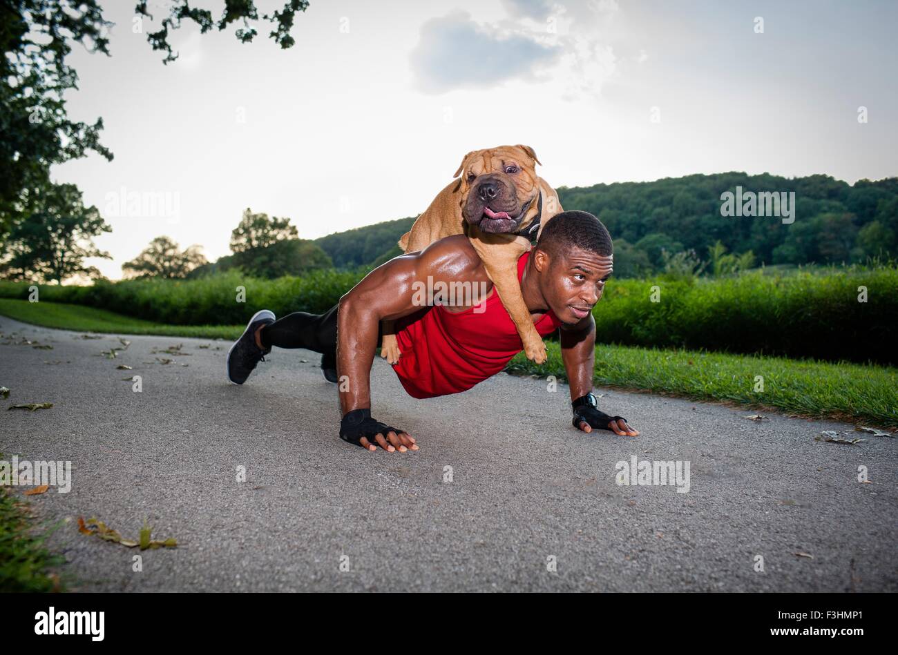 Young man doing pushups on rural road whilst giving dog a piggyback ...