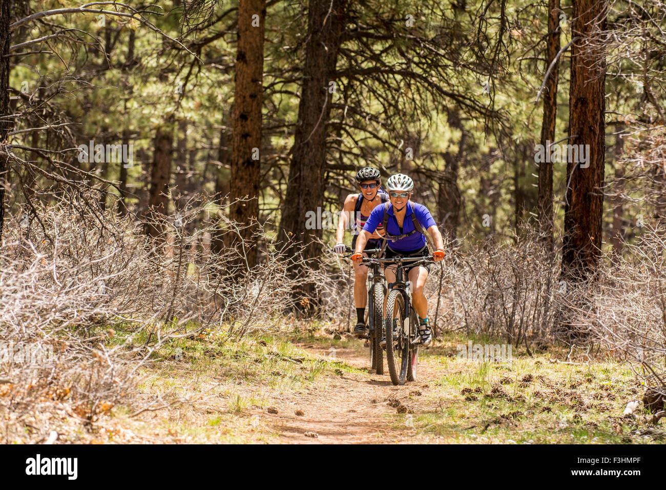 Two women mountain biking on the Boggy Draw Trail, Dolores, Colorado ...