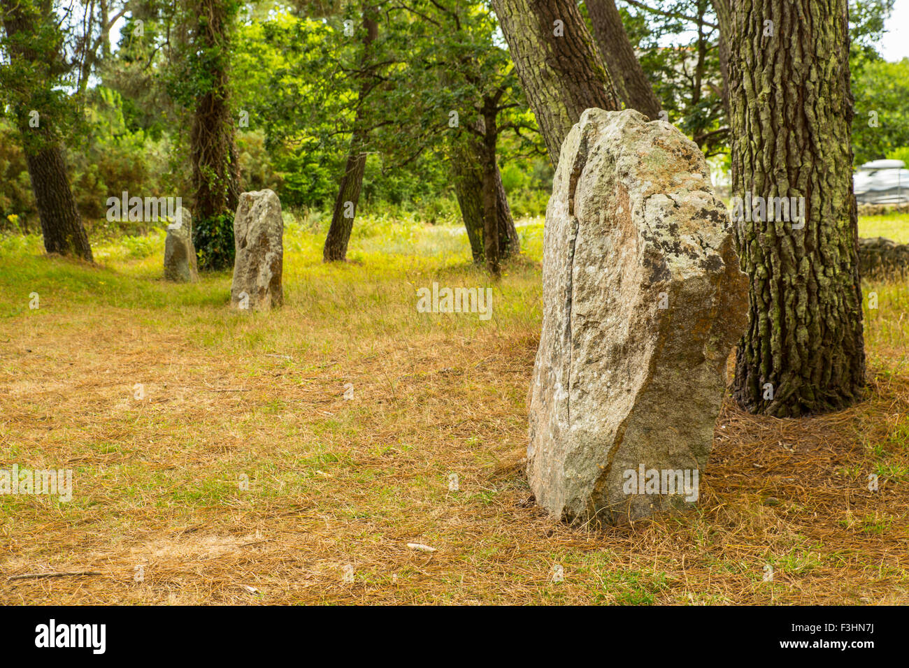 Prehistoric Dolmen de Mané Kerioned, Carnac, Morbihan, Bretagne Stock ...