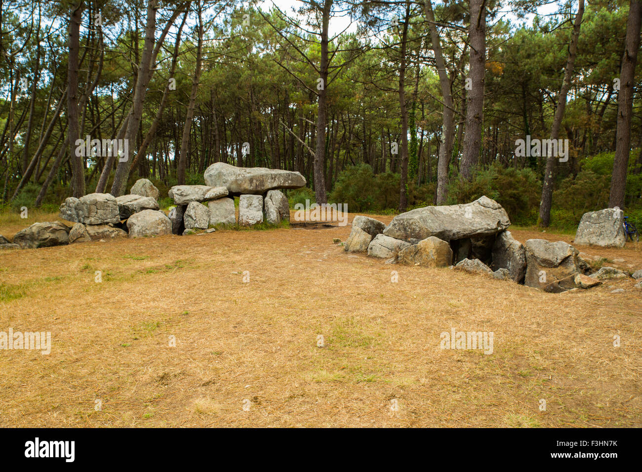 Prehistoric Dolmen de Mané Kerioned, Carnac, Morbihan, Bretagne Stock ...