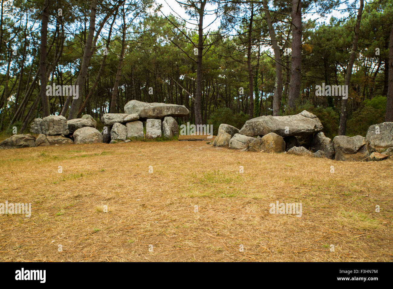 Prehistoric Dolmen de Mané Kerioned, Carnac, Morbihan, Bretagne Stock ...