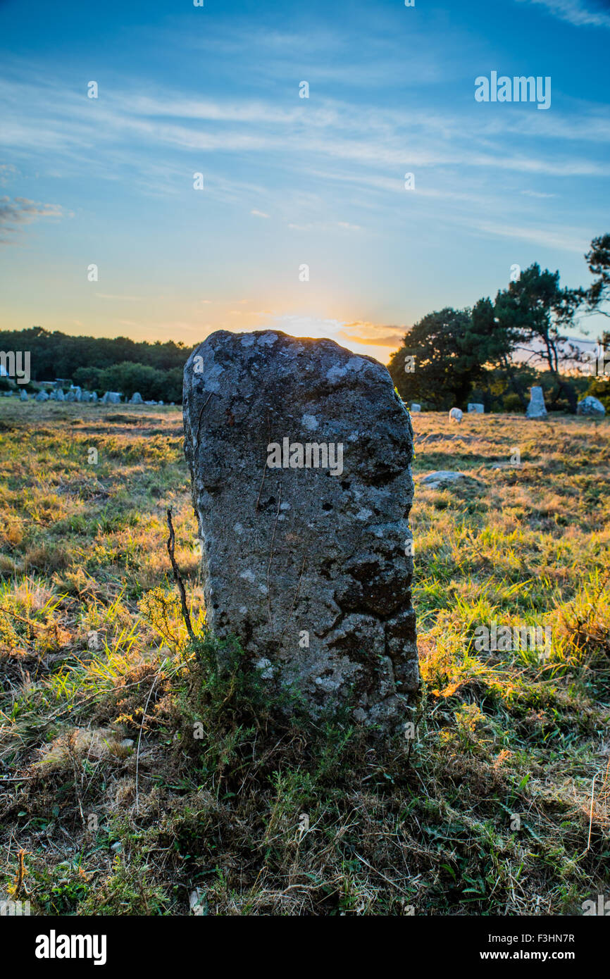 Megalithic stone alignments at Carnac, Brittany, in France Stock Photo ...