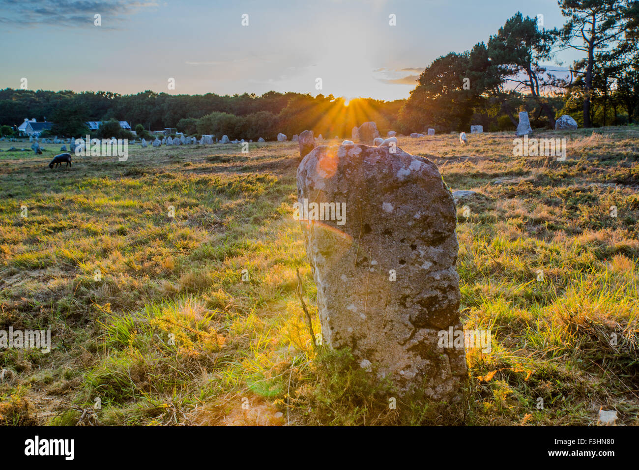 Megalithic stone alignments at Carnac, Brittany, in France Stock Photo ...