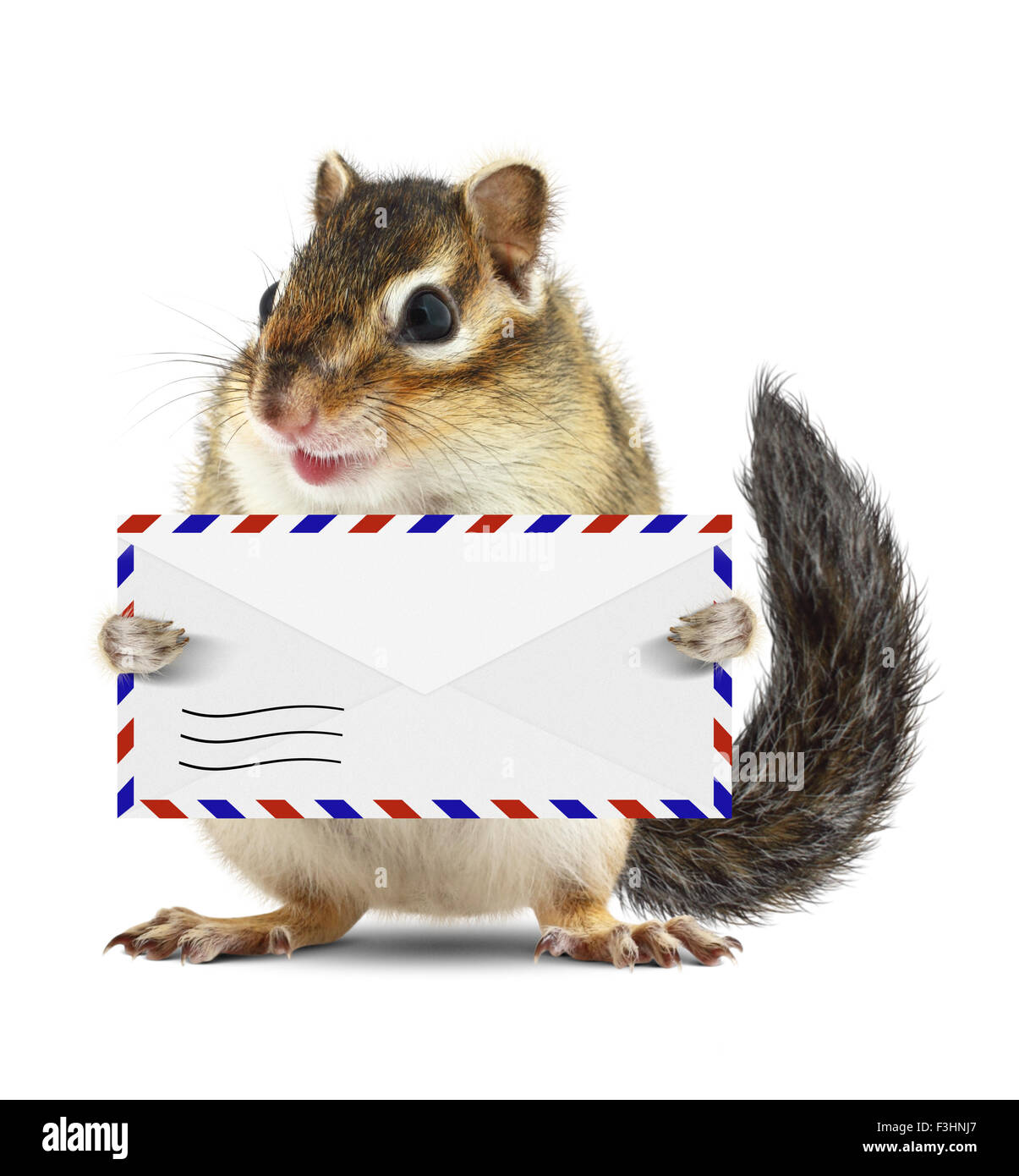 Mail animal hi-res stock photography and images - Alamy