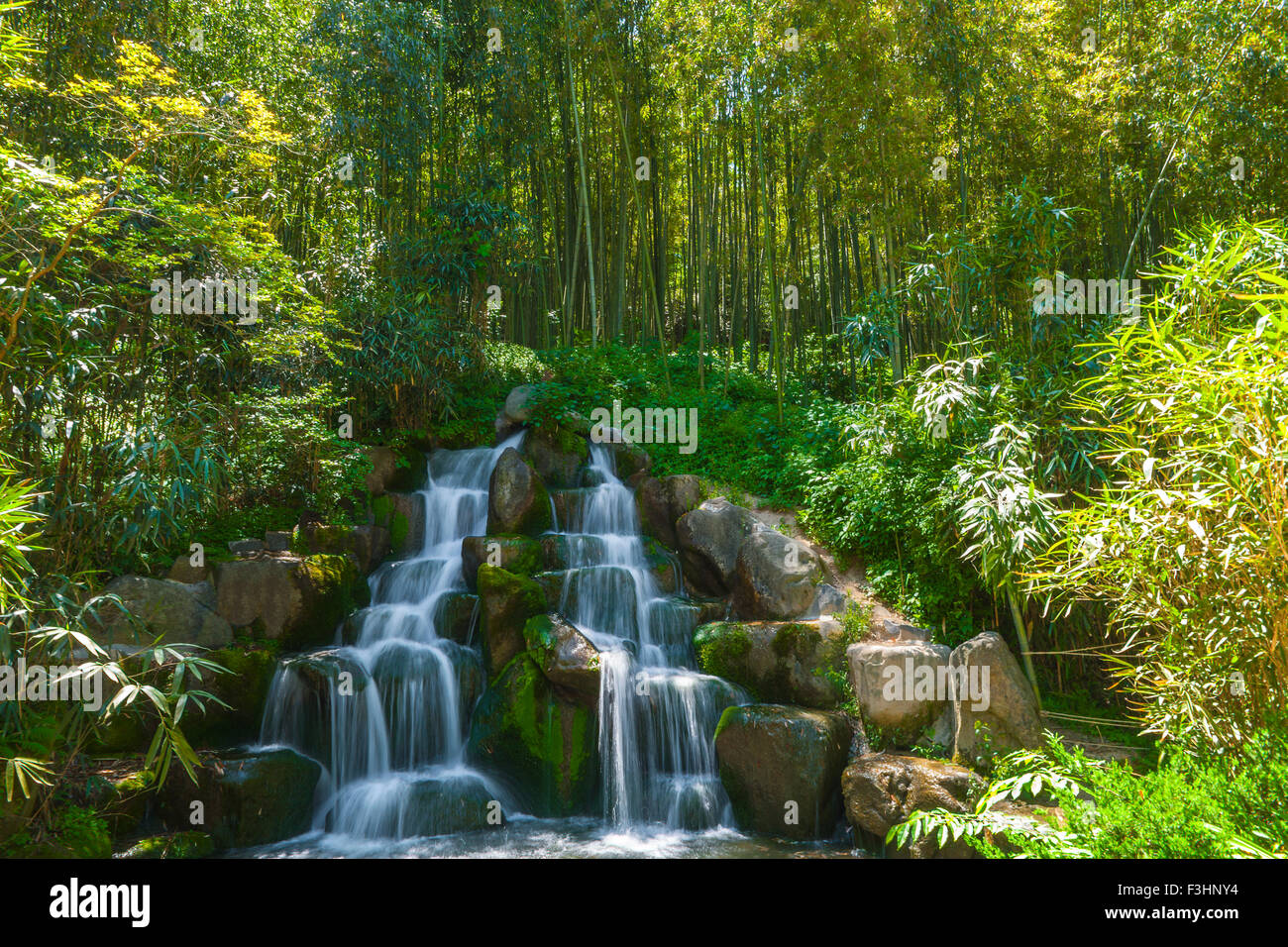 waterfall in a bamboo forest Stock Photo - Alamy