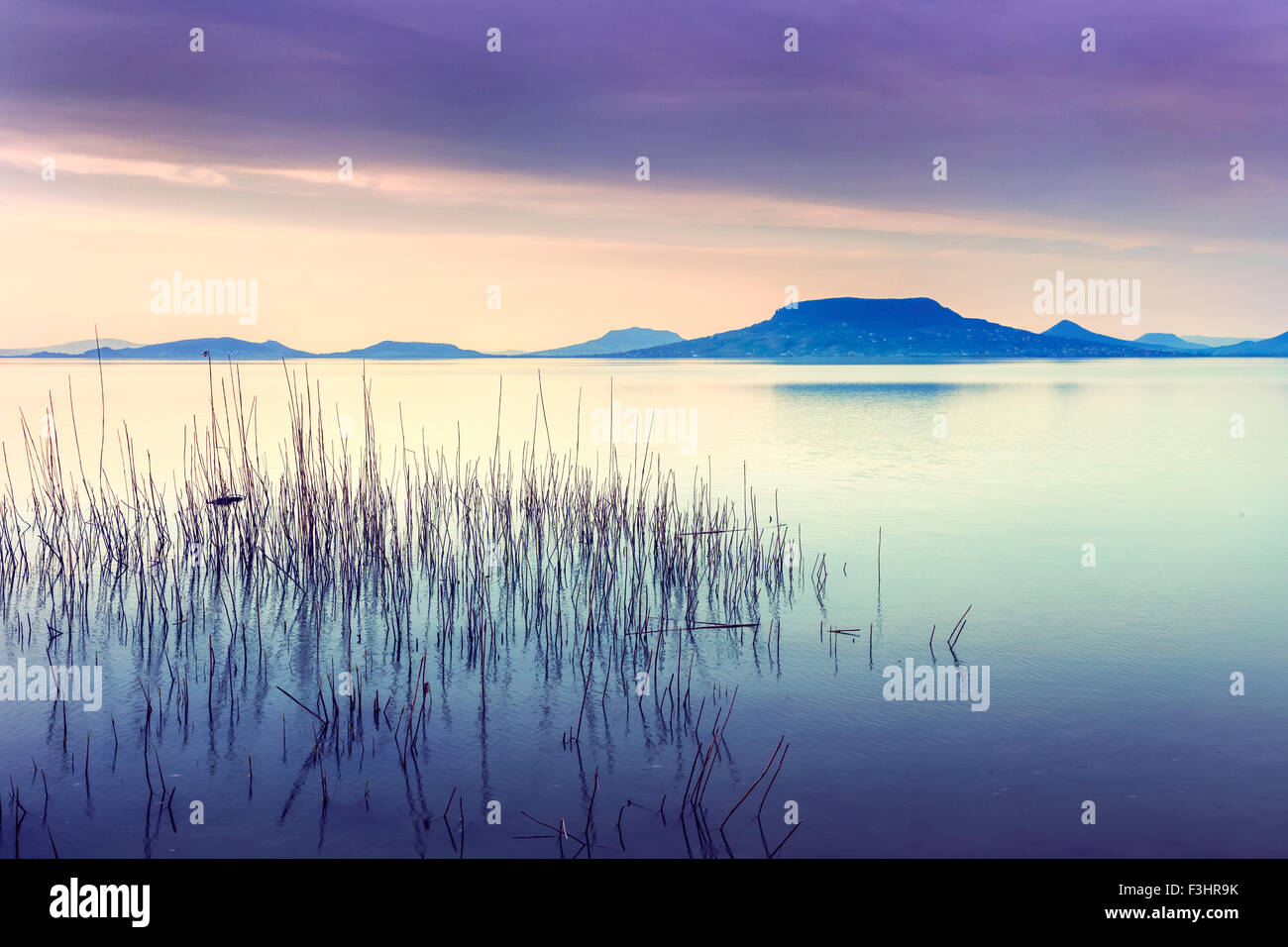 Beautiful lake in evening hi-res stock photography and images - Alamy