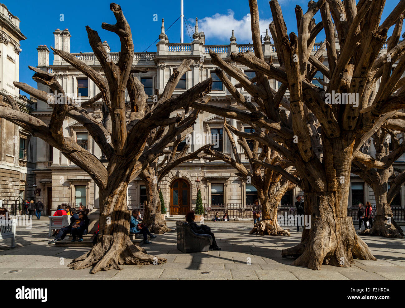 Ai Weiwei's Tree Installation In The Courtyard of The Royal Academy of ...