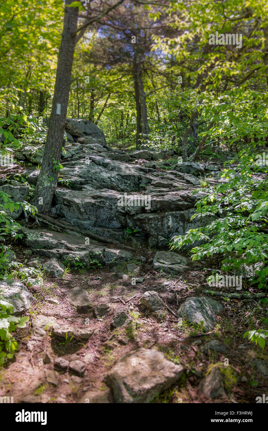 Large rocks on the Appalachian Trail through the Great Smoky Mountain ...