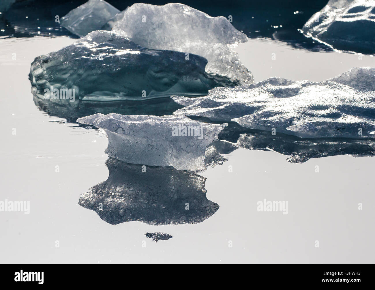 Glacial Ice floating on a still freshwater surface with very clear ...