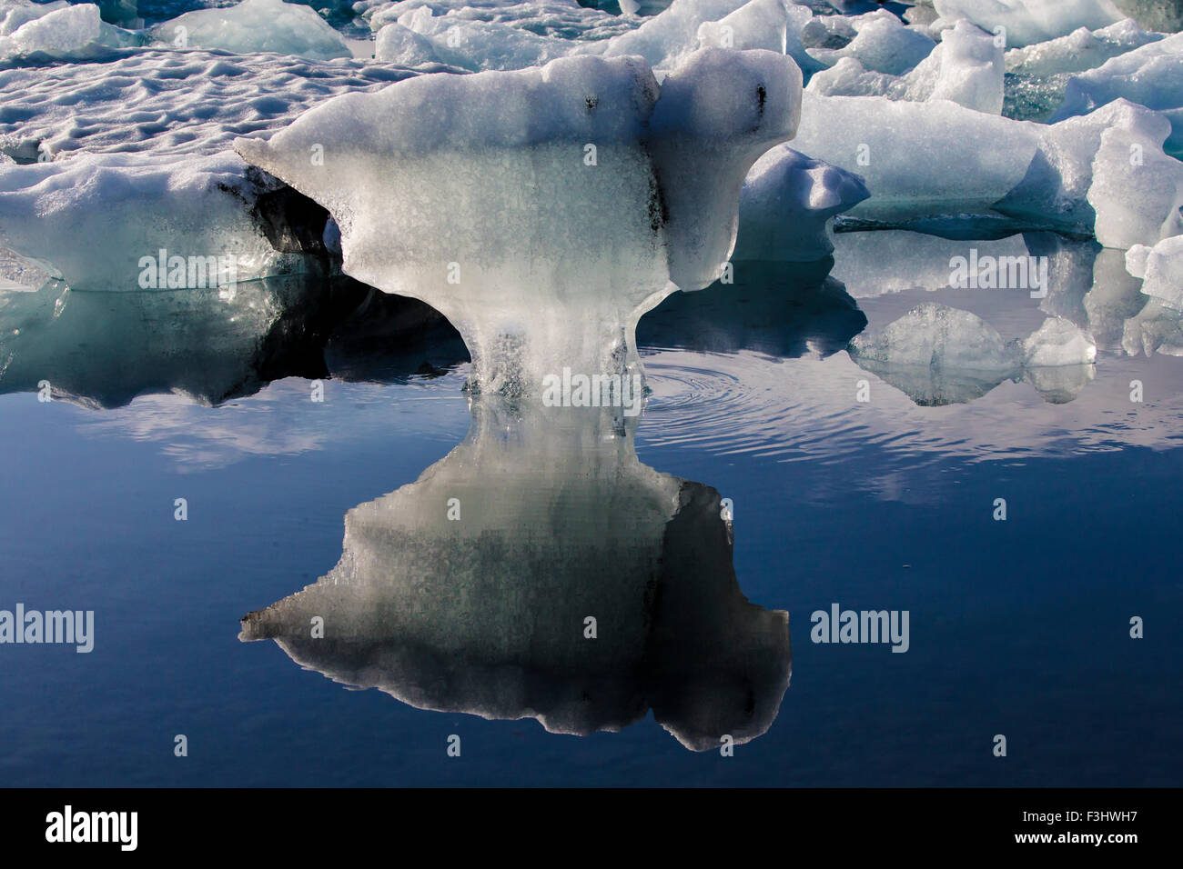 Glacial Ice floating on a still freshwater surface with very clear ...
