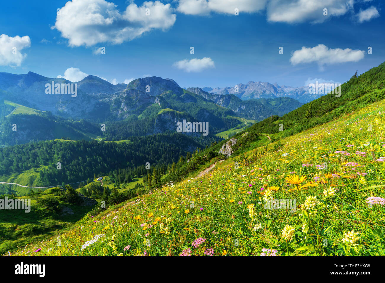 Alps austria switzerland border hi-res stock photography and images - Alamy