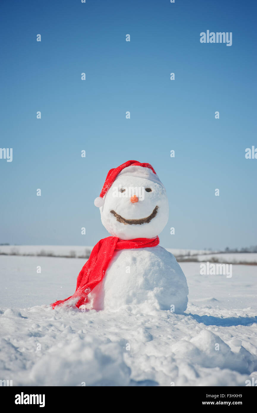 snowman look in sky and wait spring Stock Photo - Alamy