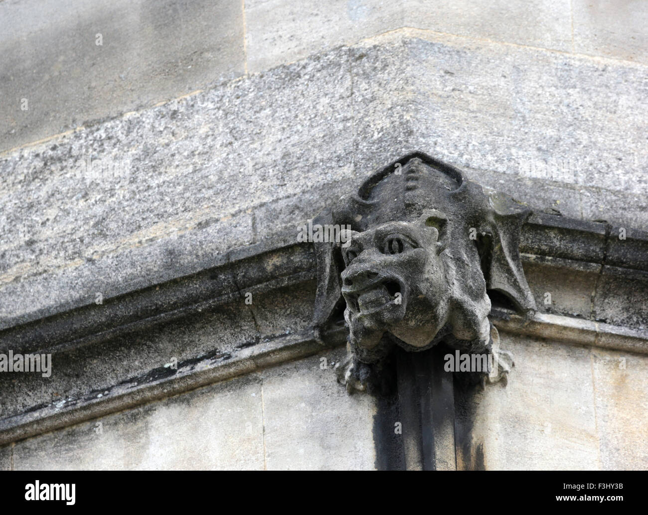 A dragon gargoyle on the side of University College, University of ...