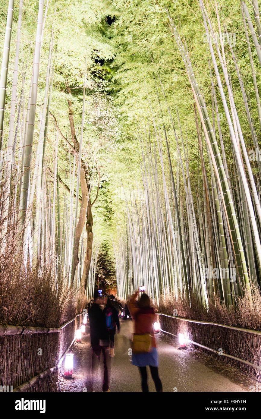 Japan, Kyoto, Arashiyama, Hanatouro, People wandering along the lit up ...