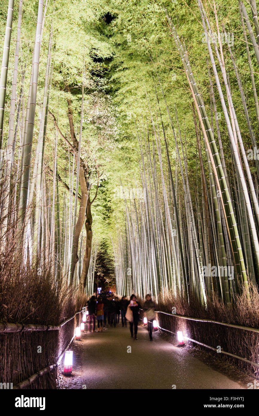 Kyoto, Arashiyama, Hanatouro, People wandering along the lighting ...