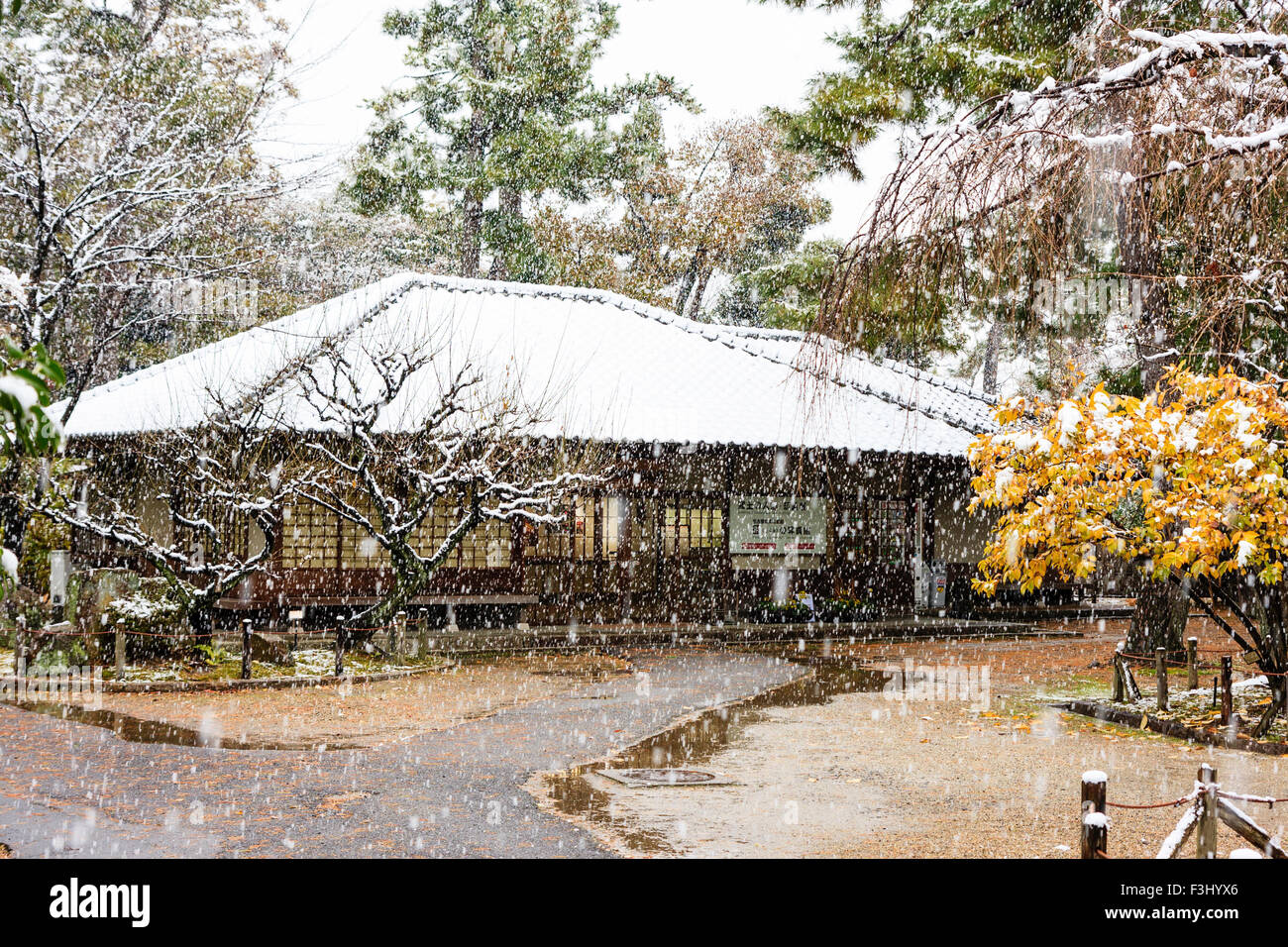 Japan, Nagoya castle. Pavilion, snow covered hall with trees around ...