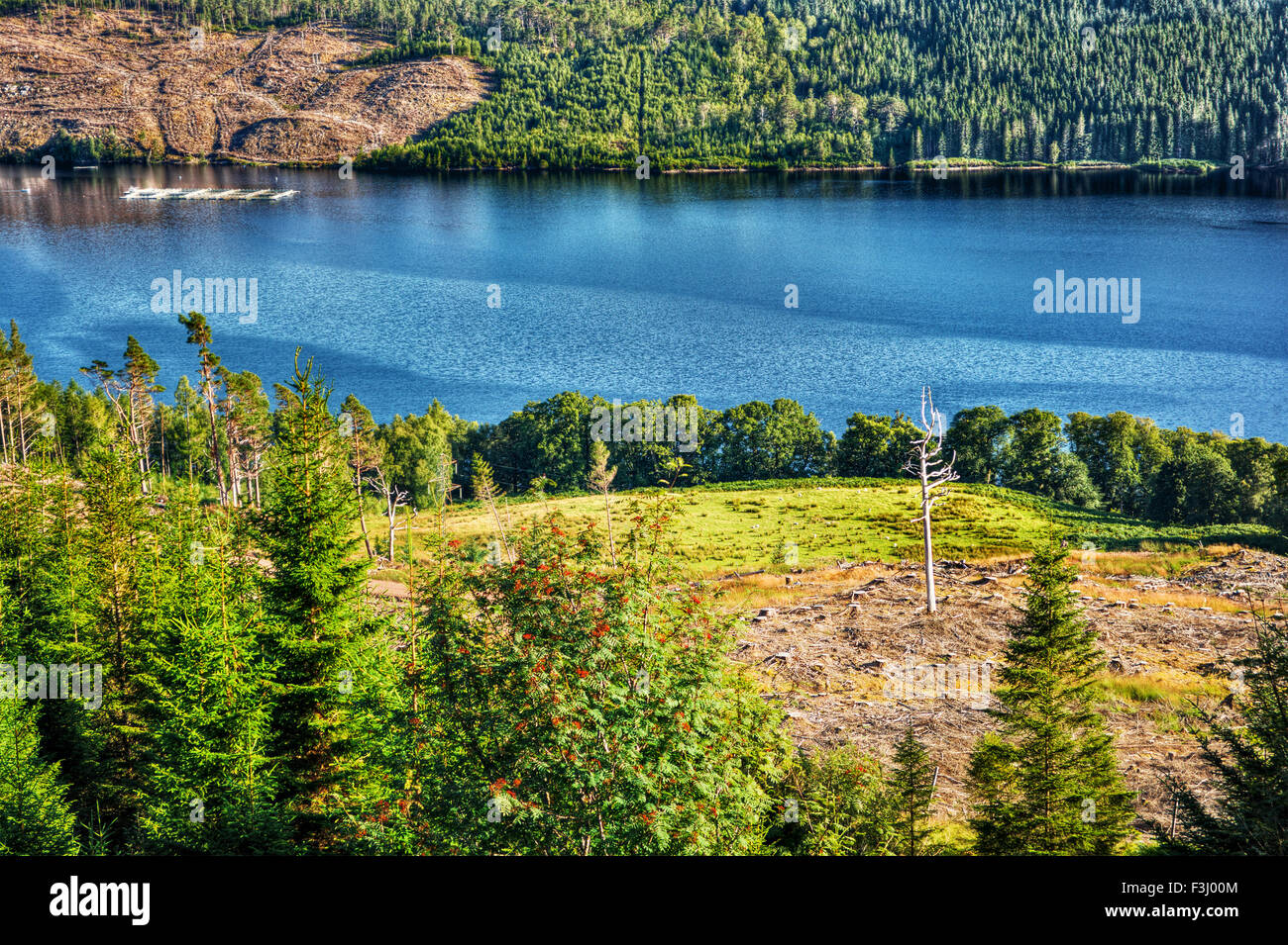 September 2015, lake in Scotland and deforestation, HDR-technique Stock ...