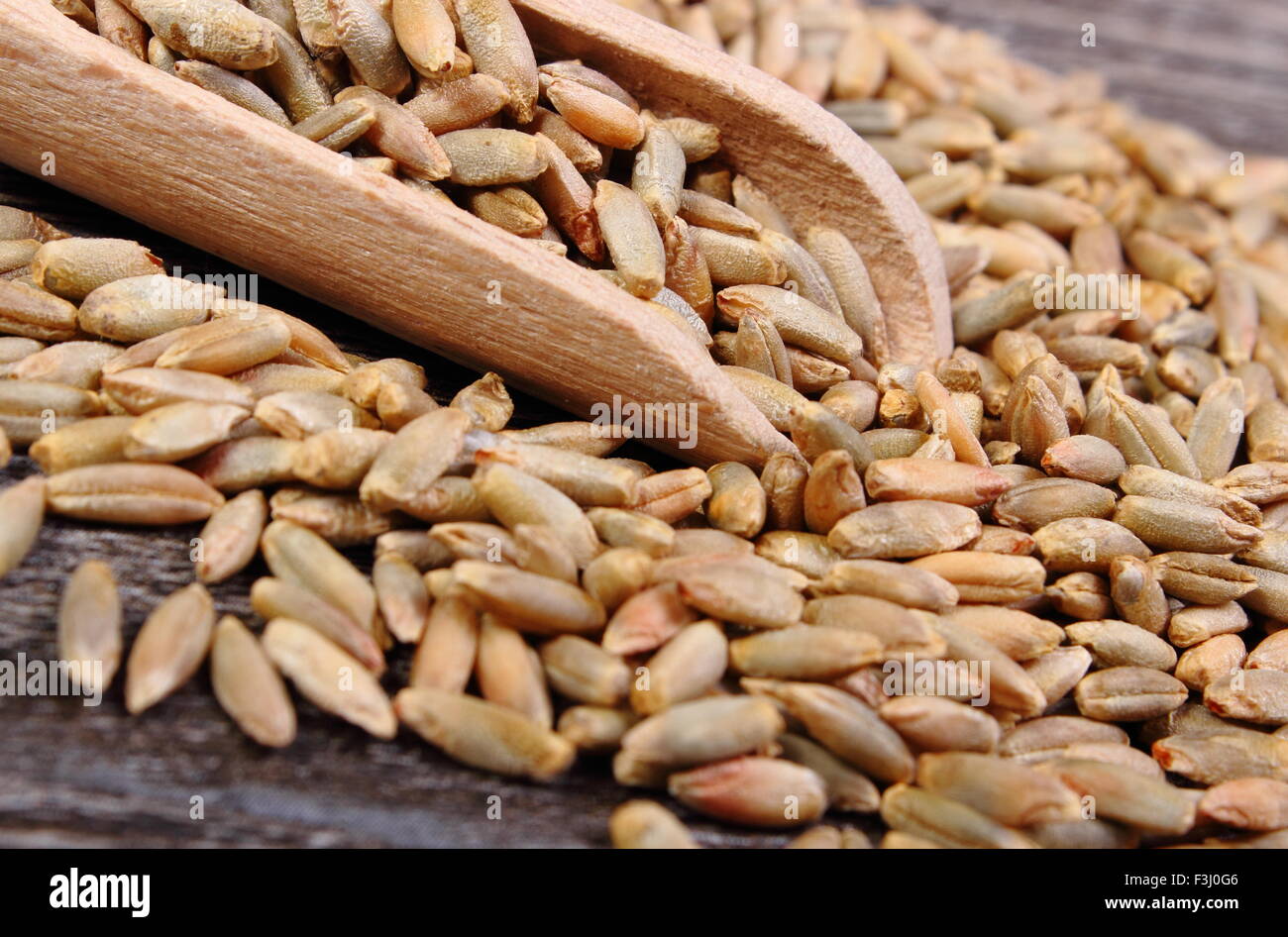 Heap of organic whole rye grain with wooden spoon lying on wooden ...
