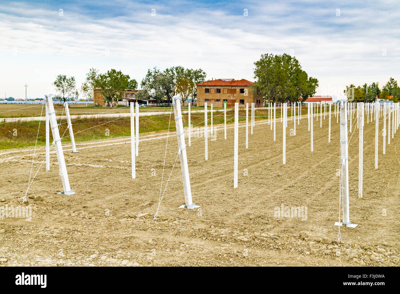 rows of precast concrete white poles driven into the ground to support ...