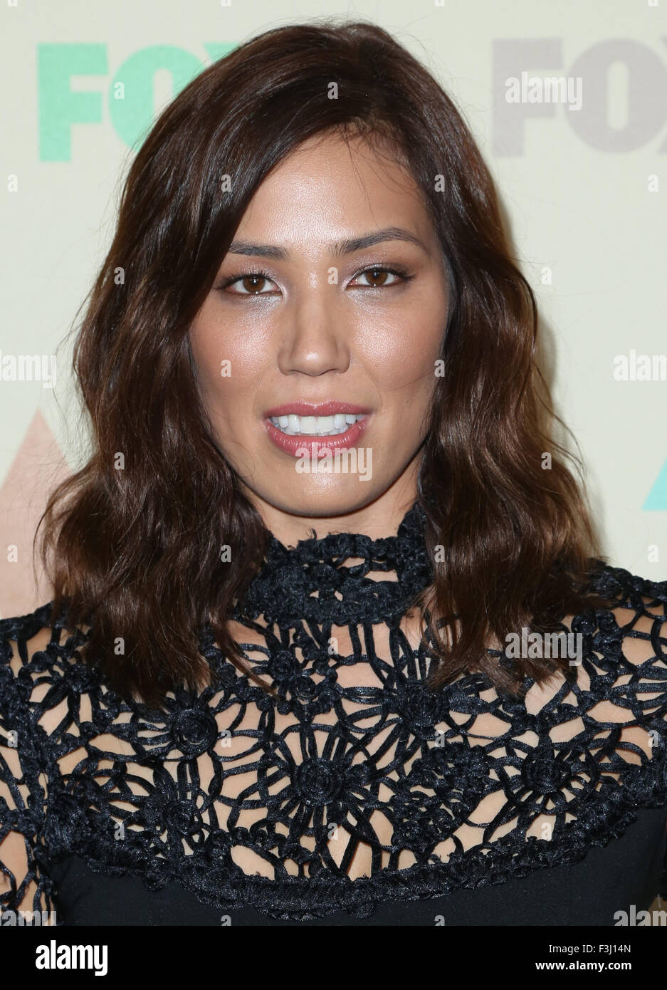 Celebrities attend 2015 Television Critics Association Summer Press ...