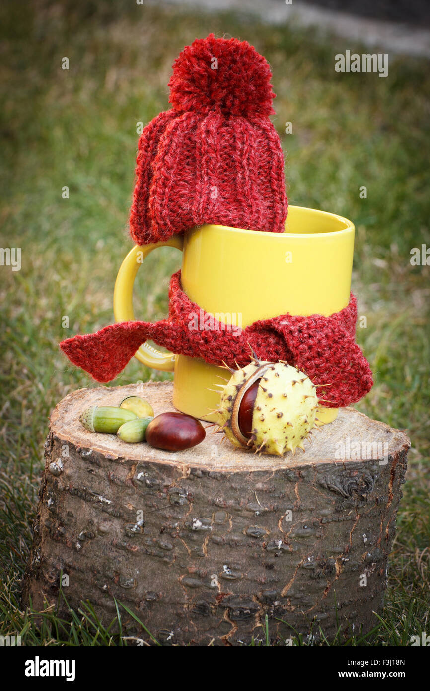 Drink wool cap hi-res stock photography and images - Alamy