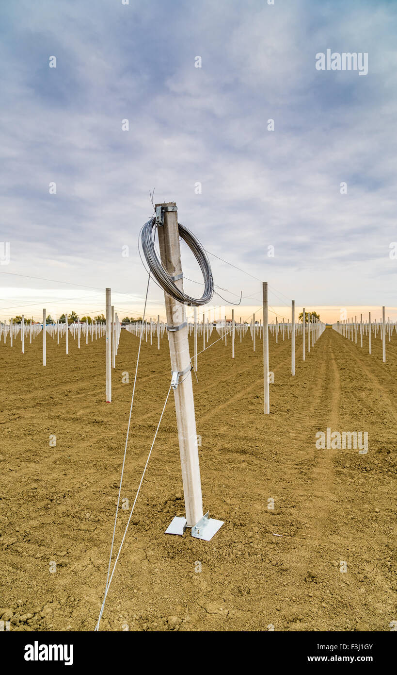 rows of precast concrete white poles driven into the ground to support ...