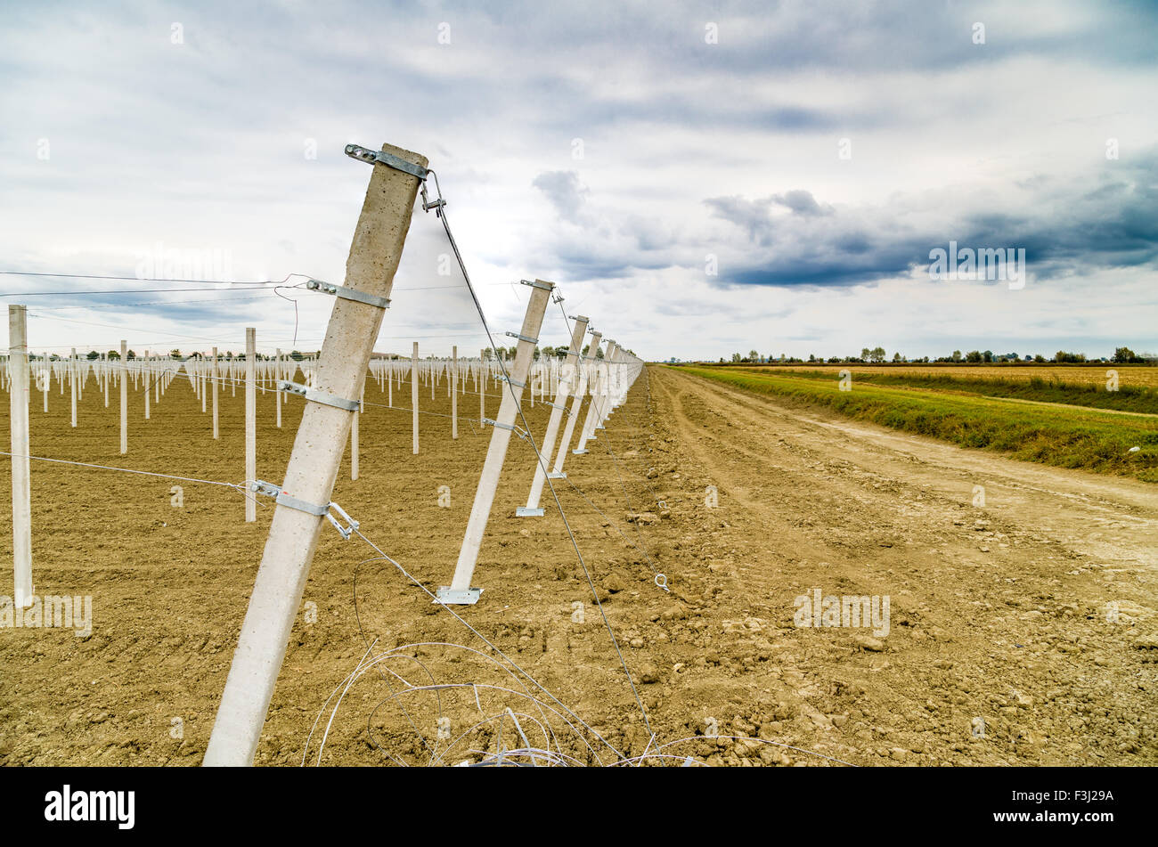 rows of precast concrete white poles driven into the ground to support ...