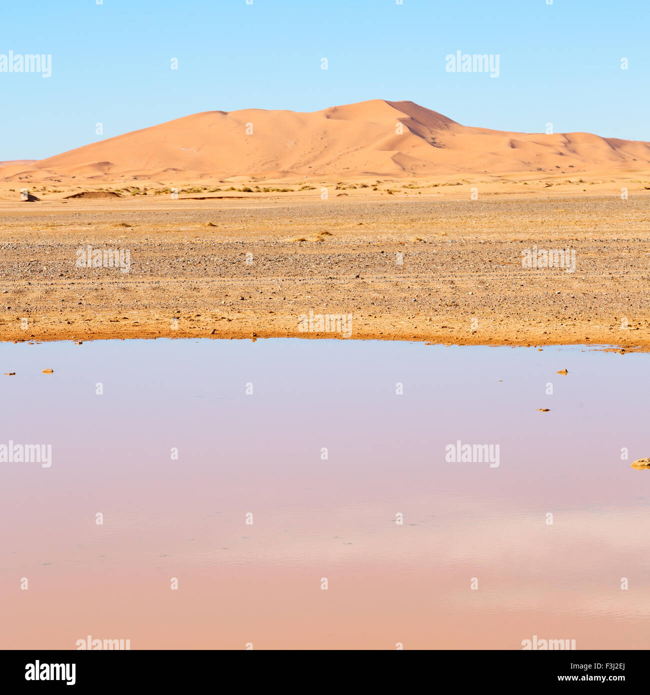 sunshine in the desert of morocco sand and lake dune Stock Photo - Alamy