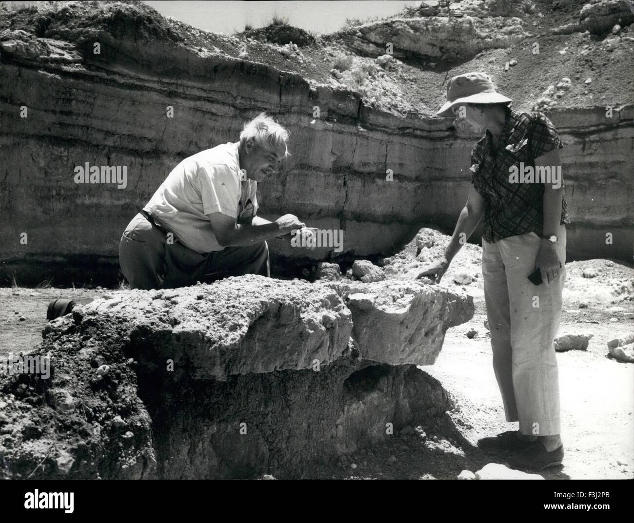 Louis And Mary Leakey Discoveries | semashow.com