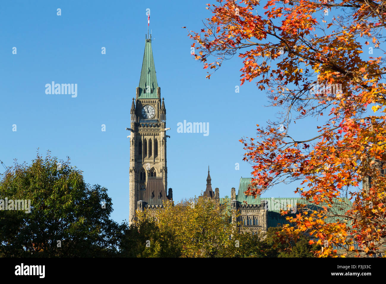 Part of the Ottawa Parliament buildings with a Canadian Maple Tree in ...
