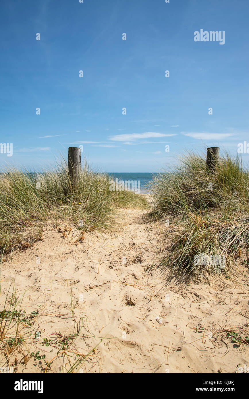 Beautiful sand dunes hi-res stock photography and images - Alamy