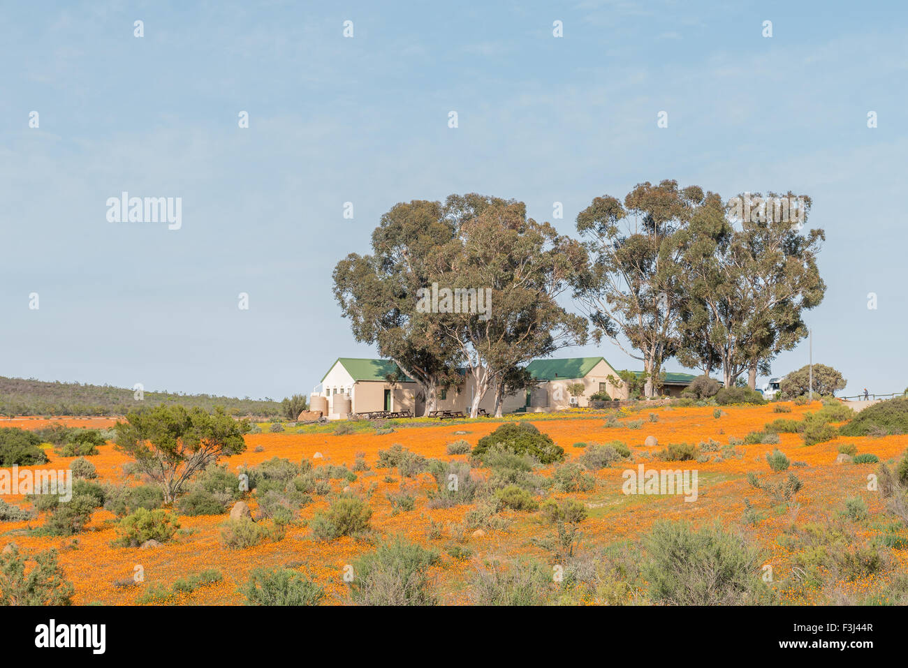 SKILPAD, SOUTH AFRICA - AUGUST 18, 2015: The offices of the Skilpad ...