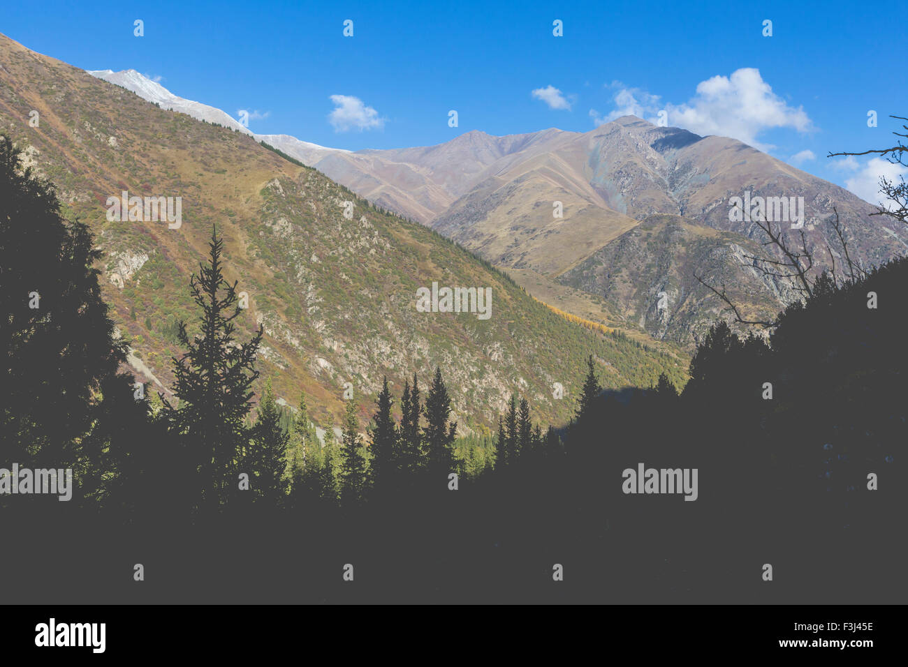 The panorama of mountain landscape of Ala-Archa gorge in the summer's ...
