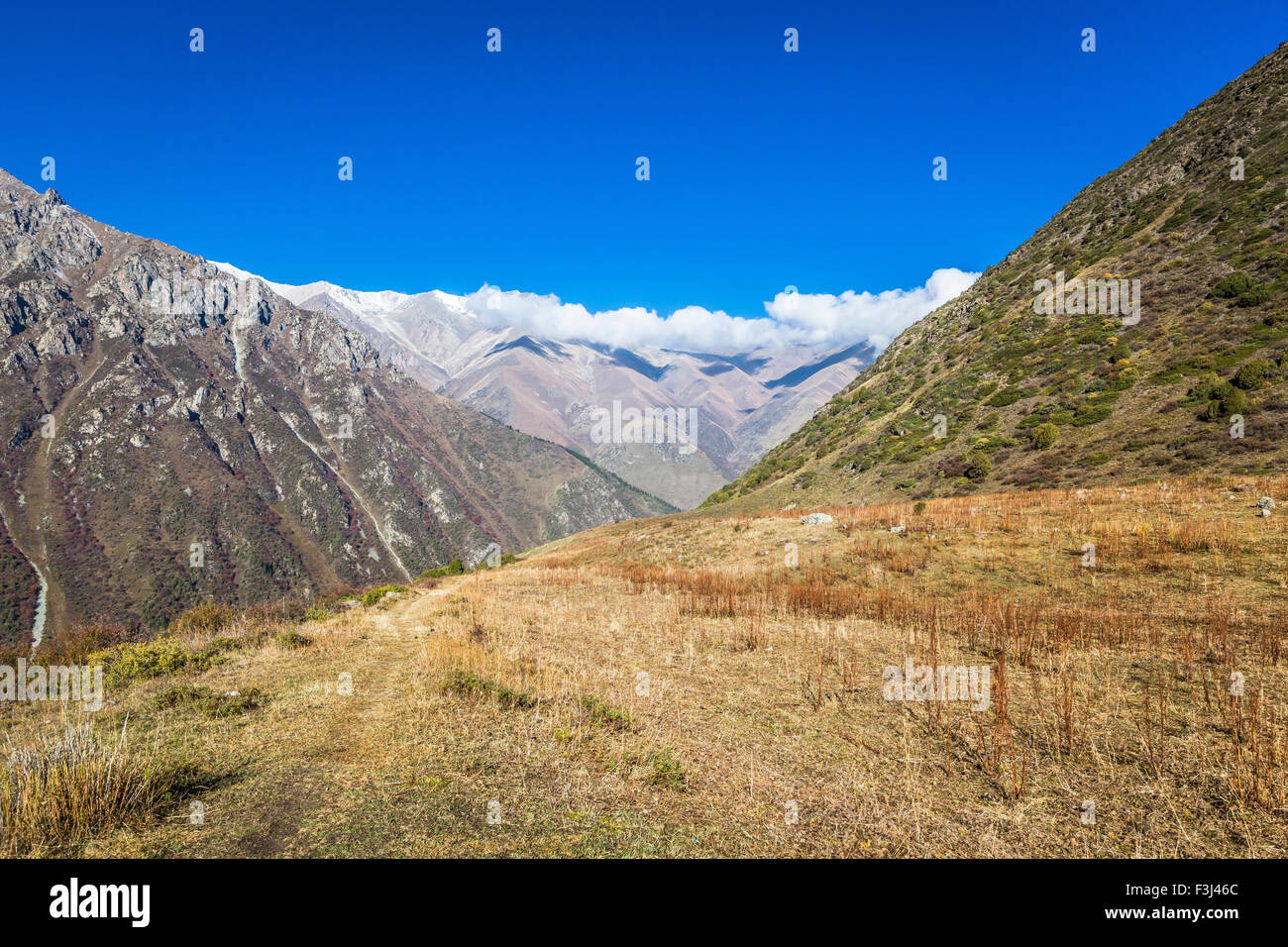 The panorama of mountain landscape of Ala-Archa gorge in the summer's ...