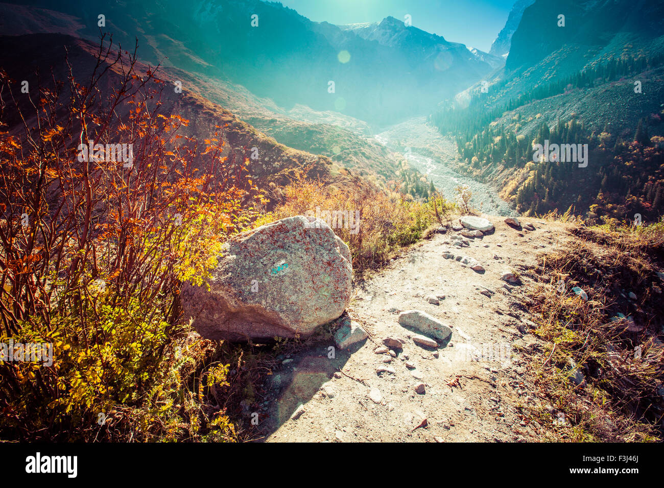 The panorama of mountain landscape of Ala-Archa gorge in the summer's ...