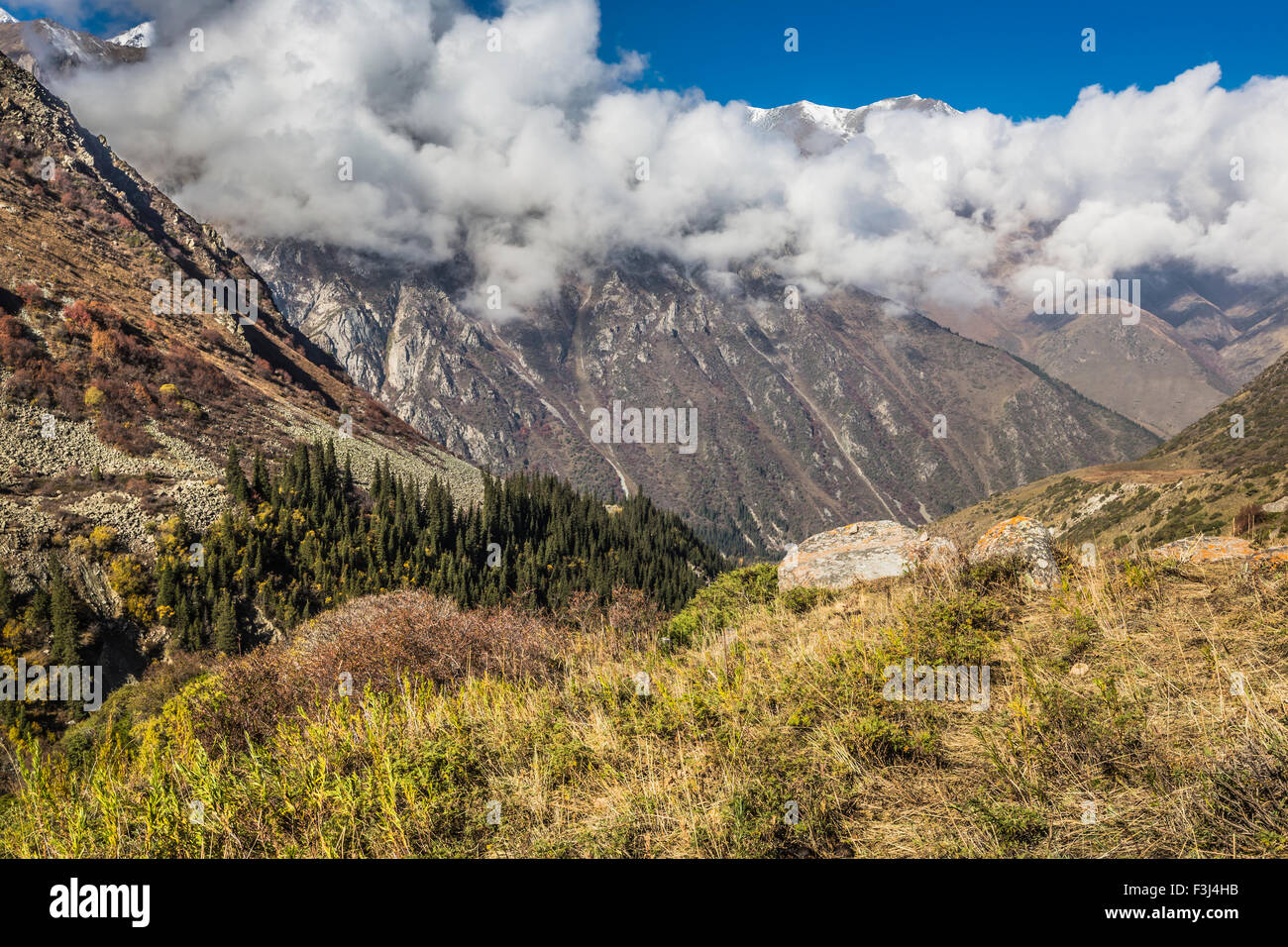 The panorama of mountain landscape of Ala-Archa gorge in the summer's ...