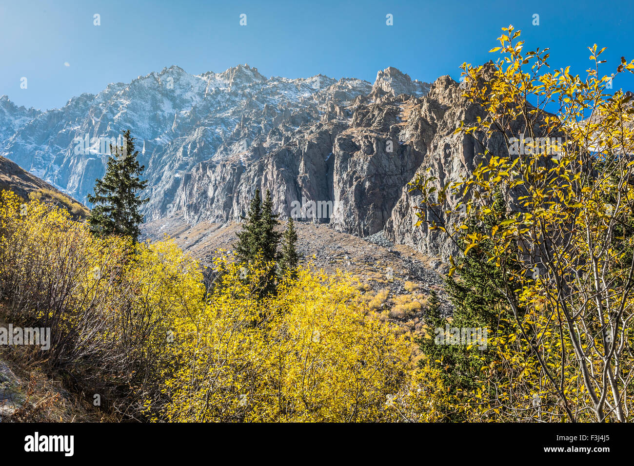 The panorama of mountain landscape of Ala-Archa gorge in the summer's ...
