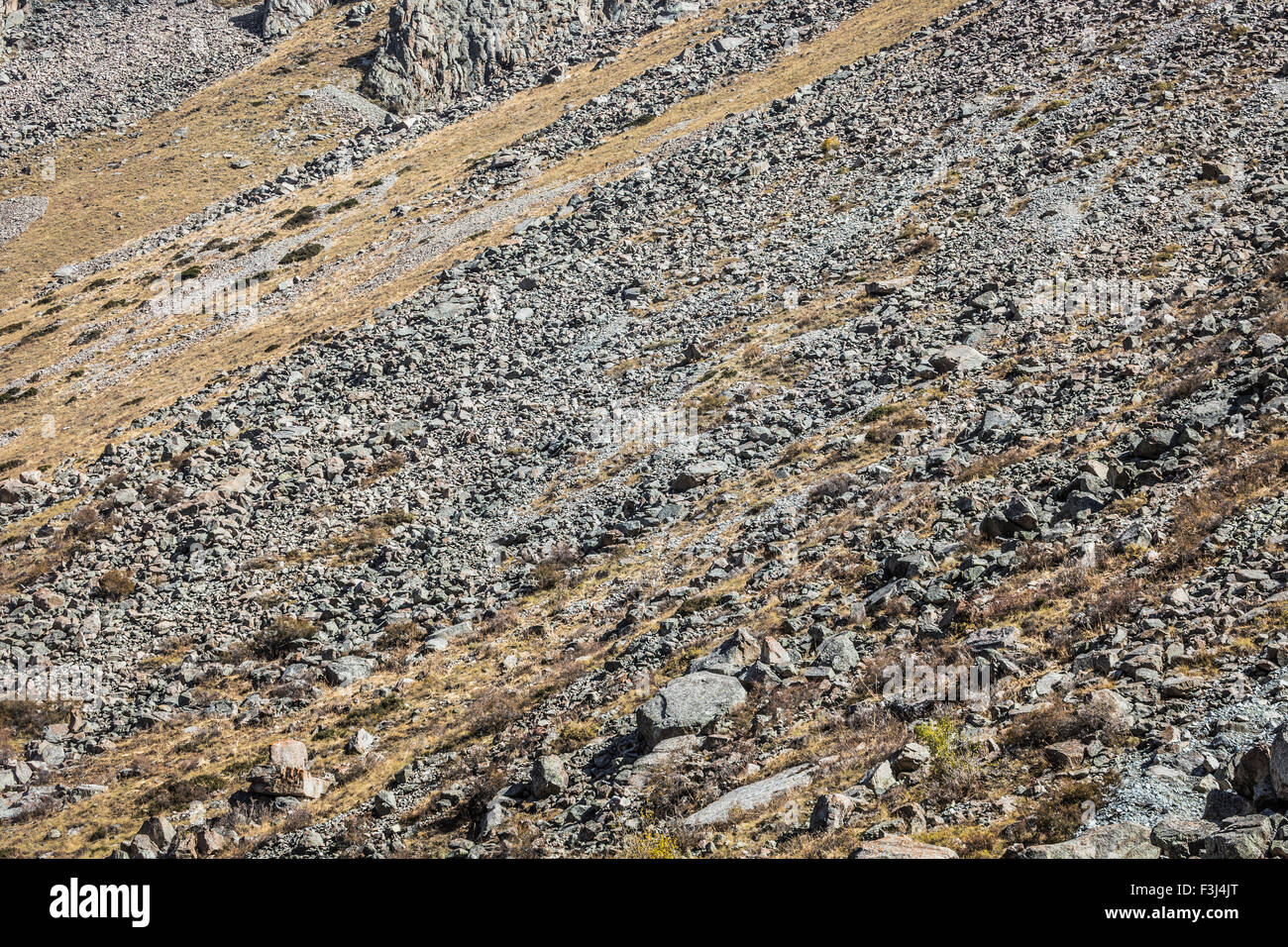 The panorama of mountain landscape of Ala-Archa gorge in the summer's ...